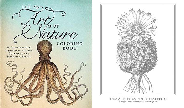 5 Science-Based (Adult) Coloring Books - Paperpile